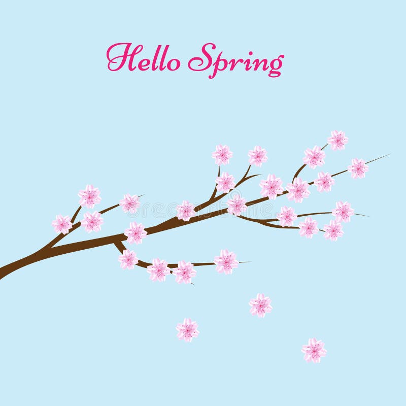 Sakura Blossom Flowers Background Stock Vector - Illustration of japan ...