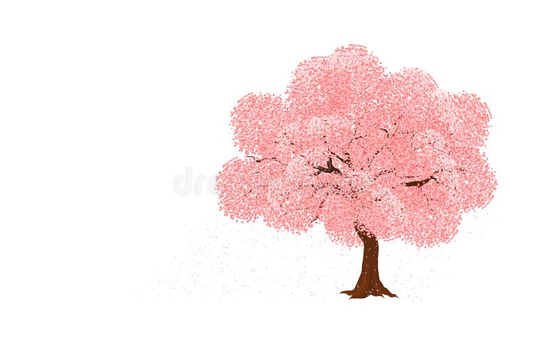 Sakura Blossom - Japanese Cherry Tree, with Falling Petals Isolated on ...