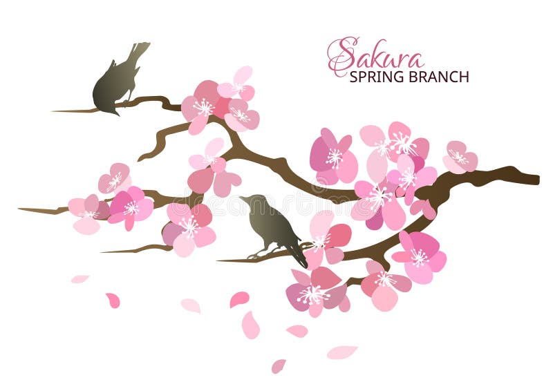 Sakura Branch with Birds. Spring Poster with Blooming Sakura Stock ...