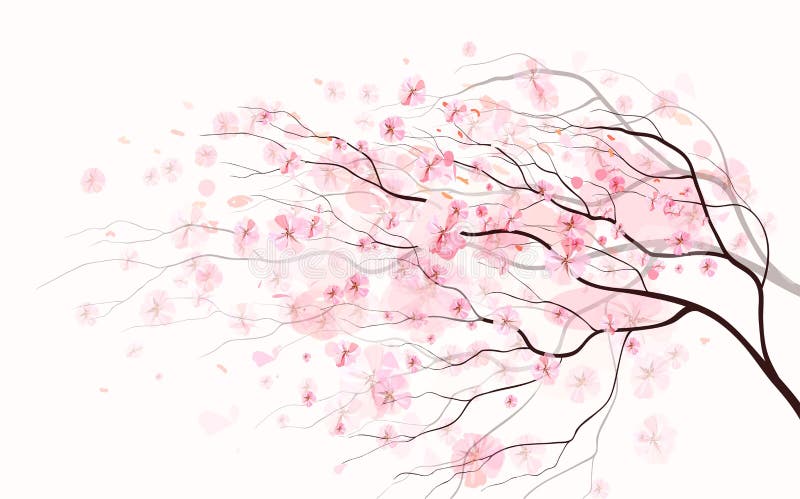 Sakura Branch, Spring Floral Background Stock Vector - Illustration of ...