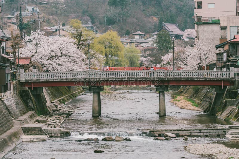 Sakura Cherry Blossom Trees Along Both Side of Miyagawa River in Spring ...