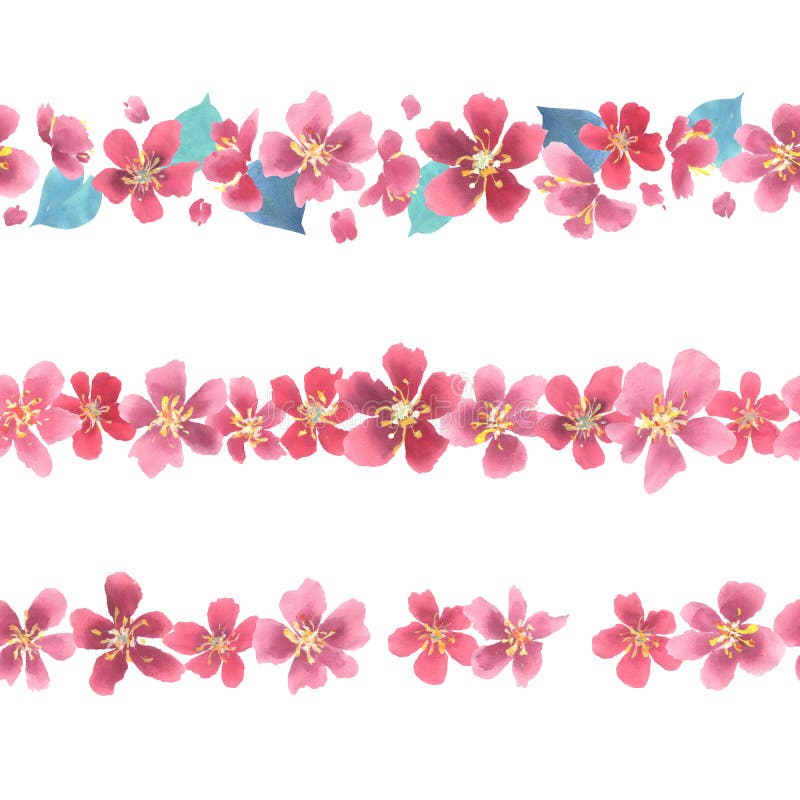 Sakura Borders Stock Illustrations – 322 Sakura Borders Stock ...