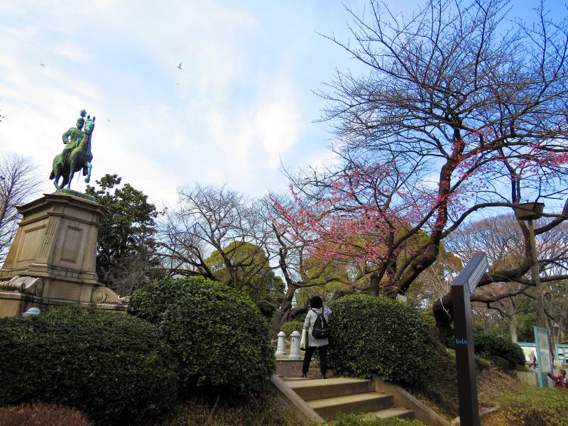Sakura First Spring in a Little at Ueno Park. Editorial Stock Image ...