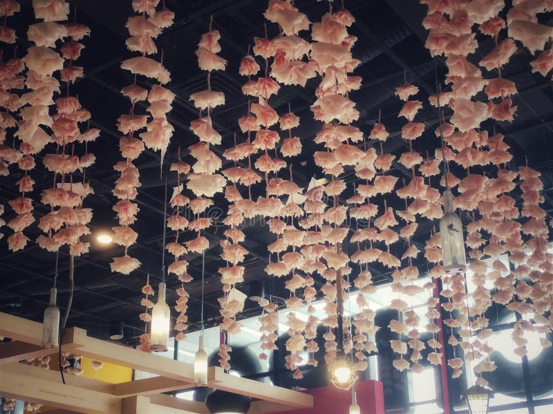 Sakura Flower Ceiling Design Stock Photo - Image of ceiling, wood ...