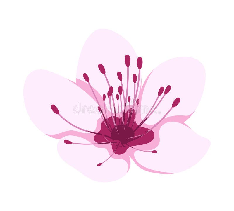 Sakura Flower Element stock vector. Illustration of symbol - 298289389