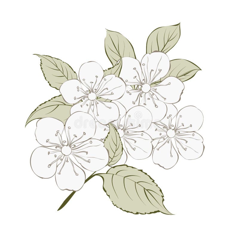 Sakura Garden Kyoto Stock Illustrations – 247 Sakura Garden Kyoto Stock Illustrations, Vectors ...