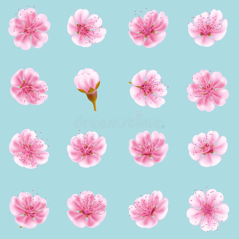 Sakura Flowers Icon Set . EPS 10 Stock Vector - Illustration of ...