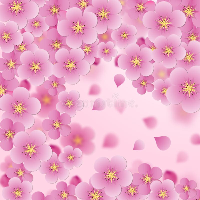 Sakura Flowers Vector Background Stock Vector - Illustration of nature ...
