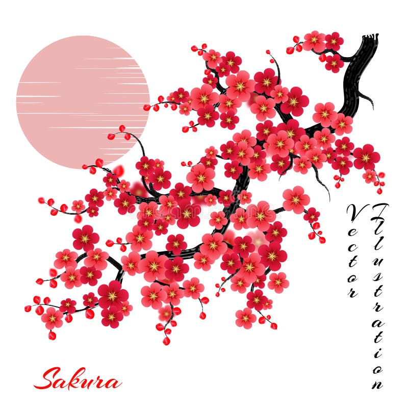 Sakura branch stock vector. Illustration of love, color - 27535173