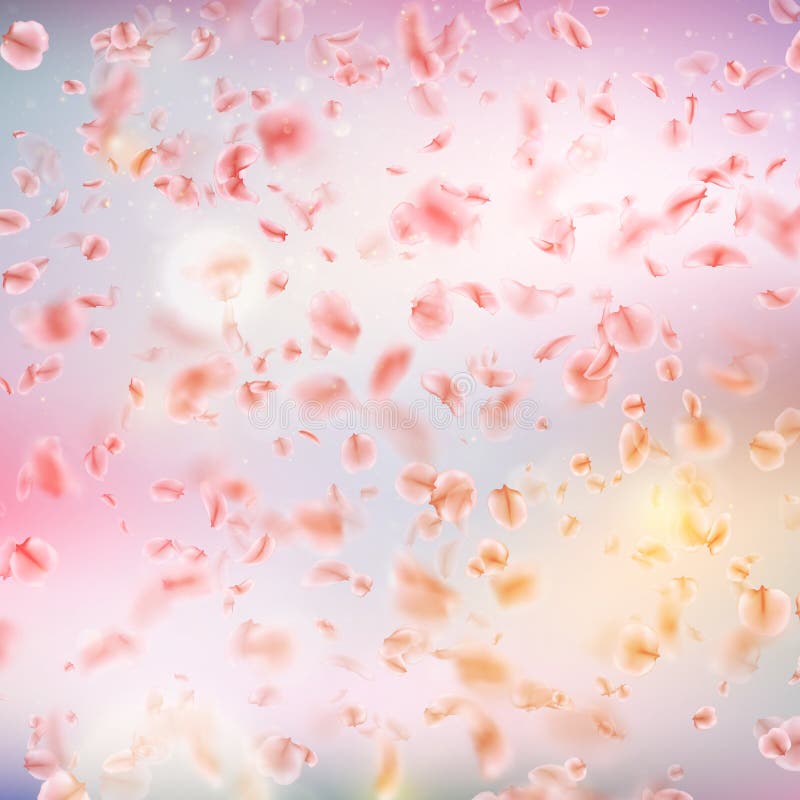 Sakura Flying Downwind Petals on Wind. EPS 10 Vector Stock Vector ...