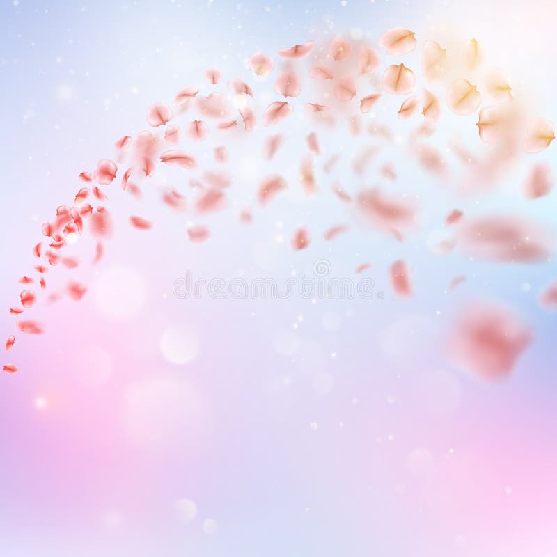 Sakura Flying Downwind Petals on Wind. EPS 10 Vector Stock Vector ...