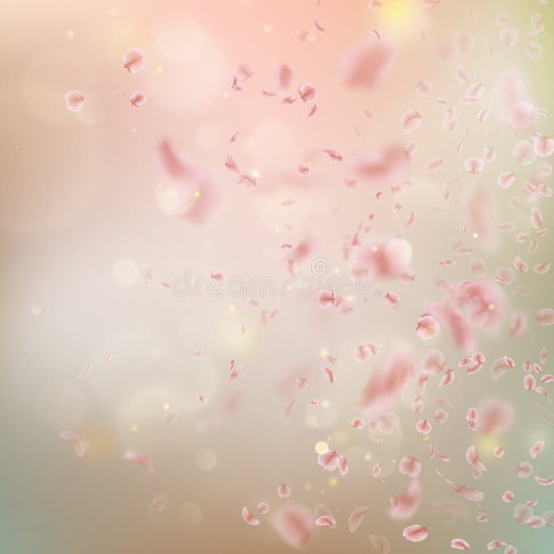 Sakura Flying Downwind Petals on Wind. EPS 10 Vector Stock Vector ...