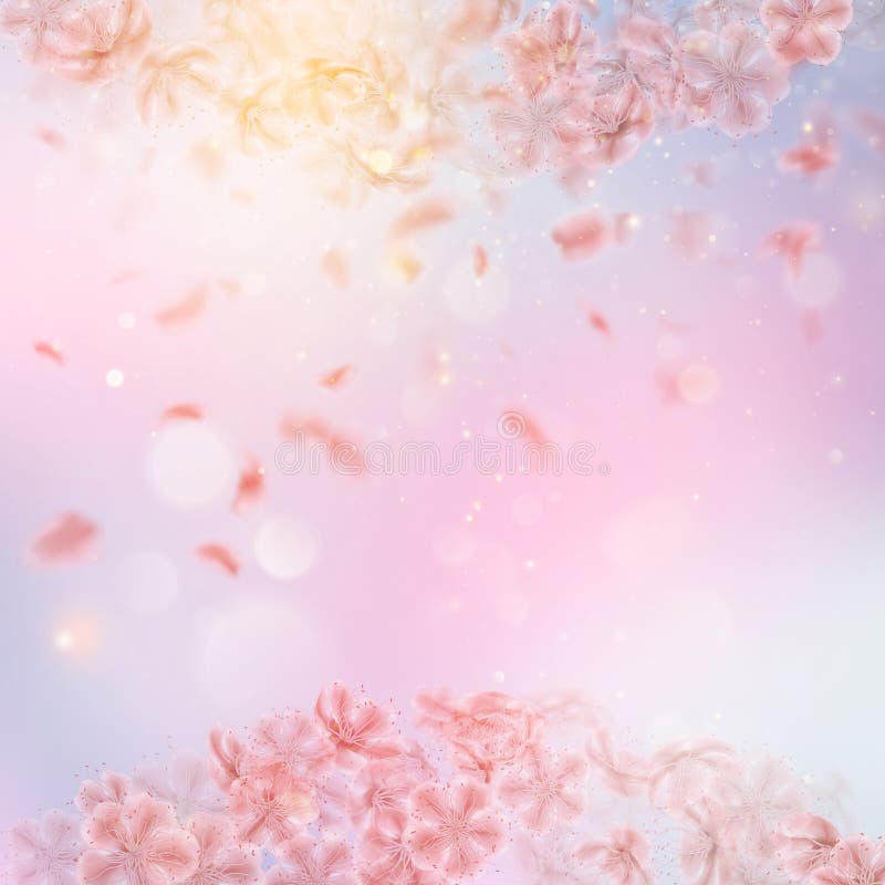 Sakura Flying Downwind Petals on Wind. EPS 10 Vector Stock Vector ...
