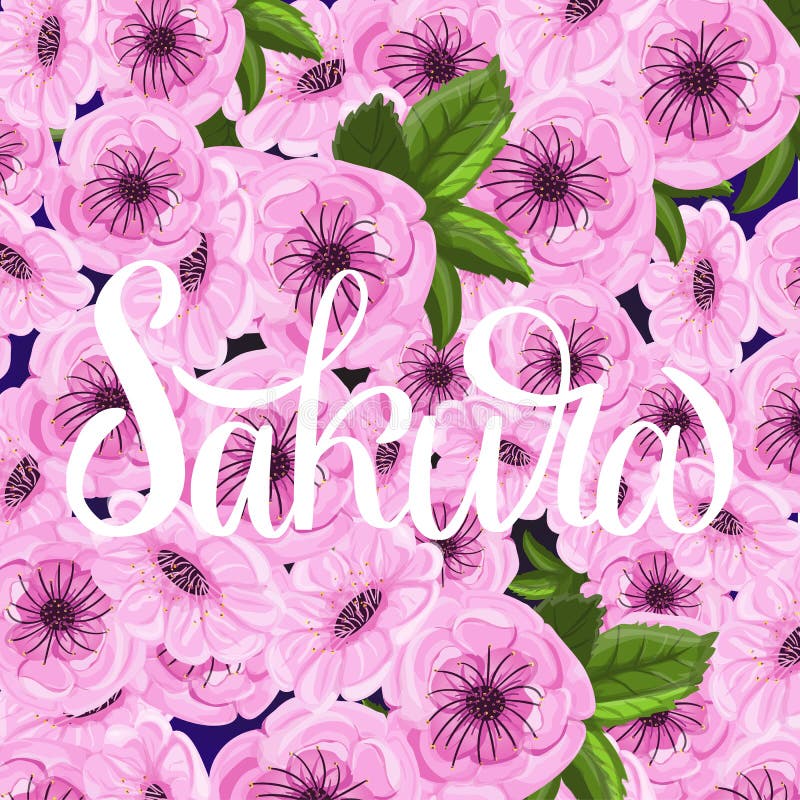 Sakura ink lettering stock vector. Illustration of collection - 111467190