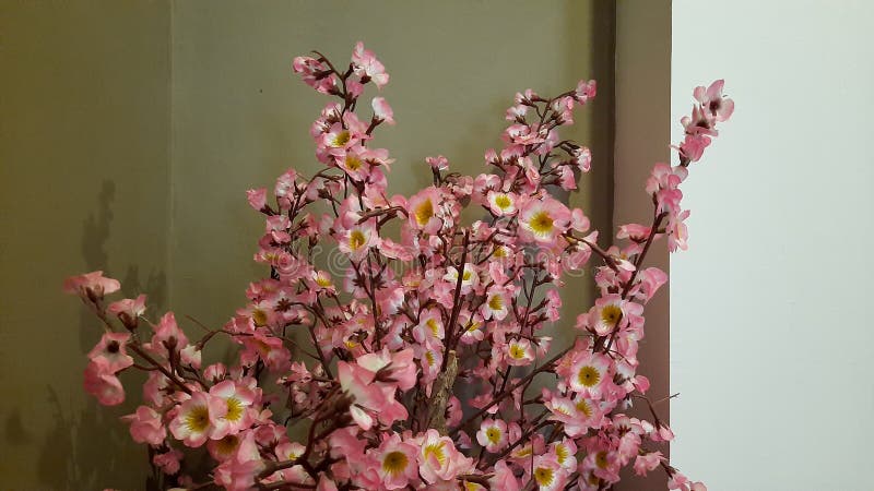 Sakura in Landscape, the True Flower Stock Photo - Image of petal ...