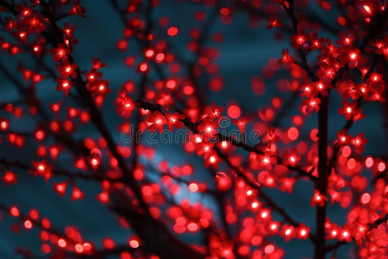 Sakura LED stock image. Image of luces, deco, artificial - 65973609