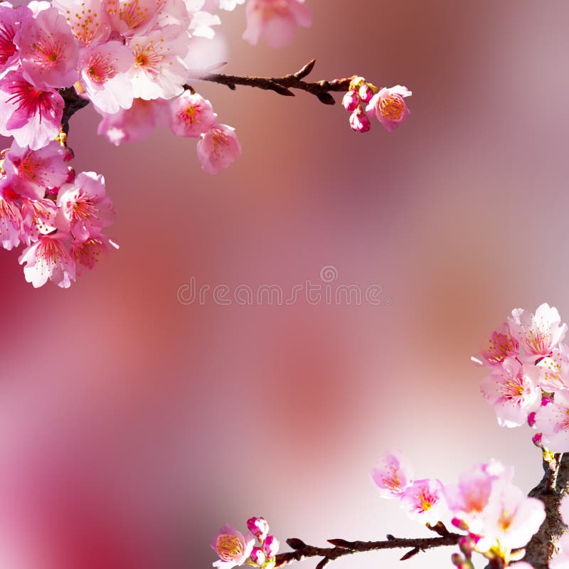 Beautiful nice background pictures to use for your desktop and mobile