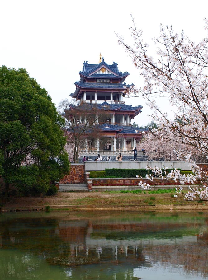 Night scene of Lihu Bridge stock photo. Image of color - 18557202