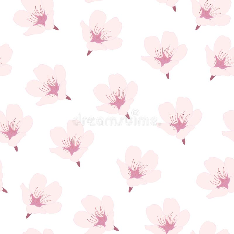 Sakura seamless pattern stock vector. Illustration of cherry - 85115749