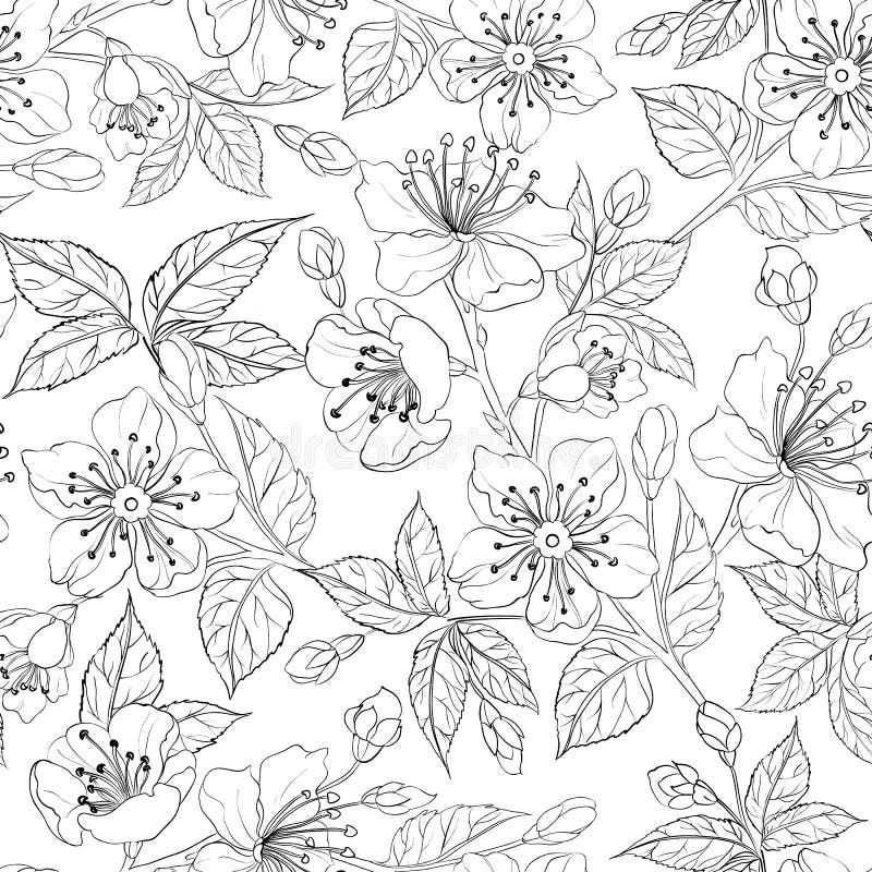 Sakura Seamless Pattern on White Background. Stock Vector ...