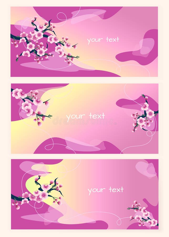 Set of Vector Background and Frame Template with Sakura Branch Stock ...