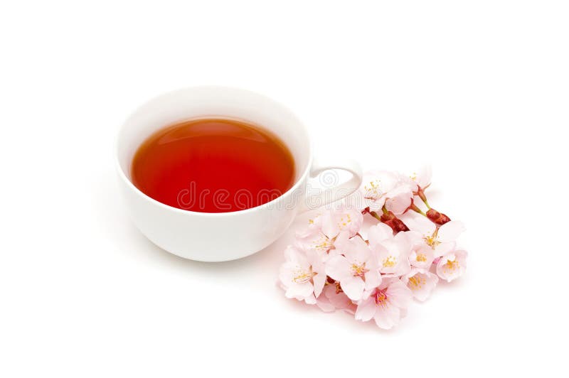 Sakura tea stock photo. Image of isolated, pink, scenics - 53491780