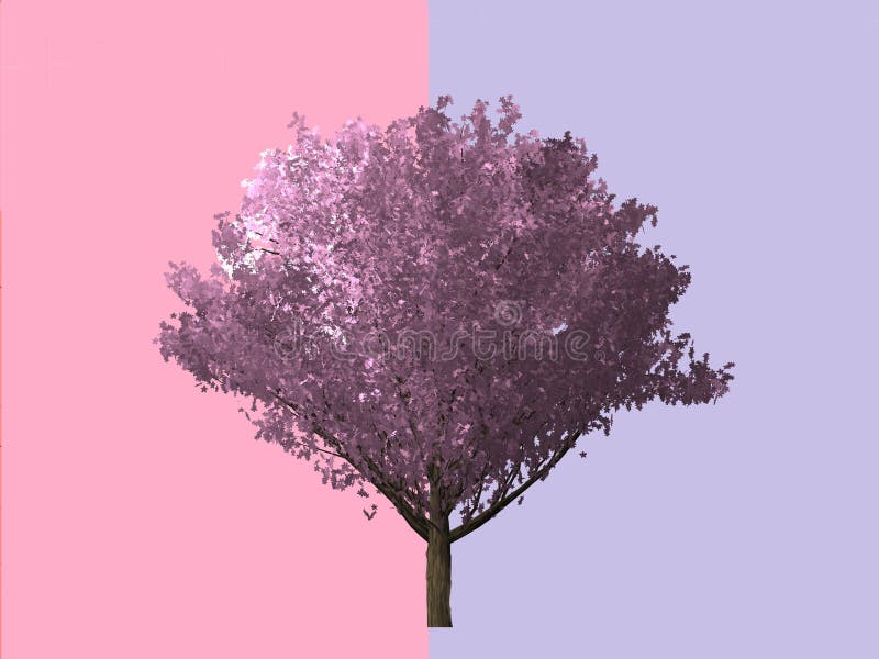 Sakura Tree for Background,template for Design Stock Illustration ...