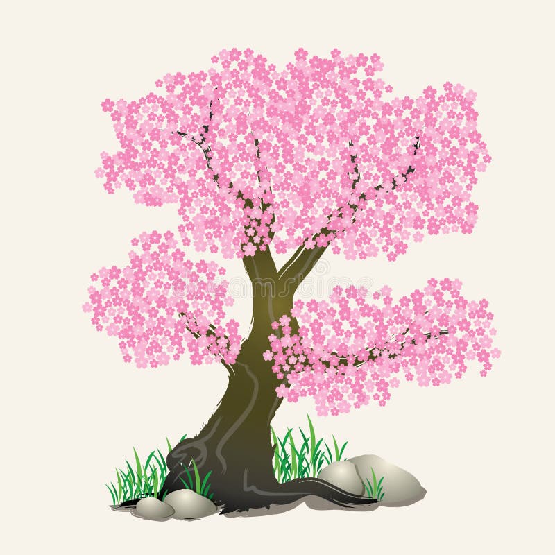 Sakura tree. stock vector. Illustration of graphic, alone - 58073273