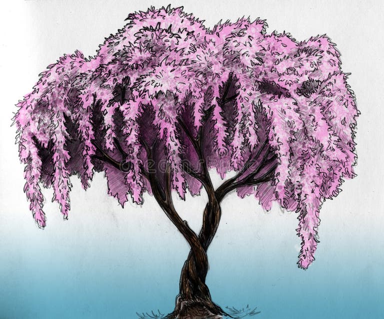 Sakura Tree - Pencil Sketch Stock Illustration - Illustration of branch ...