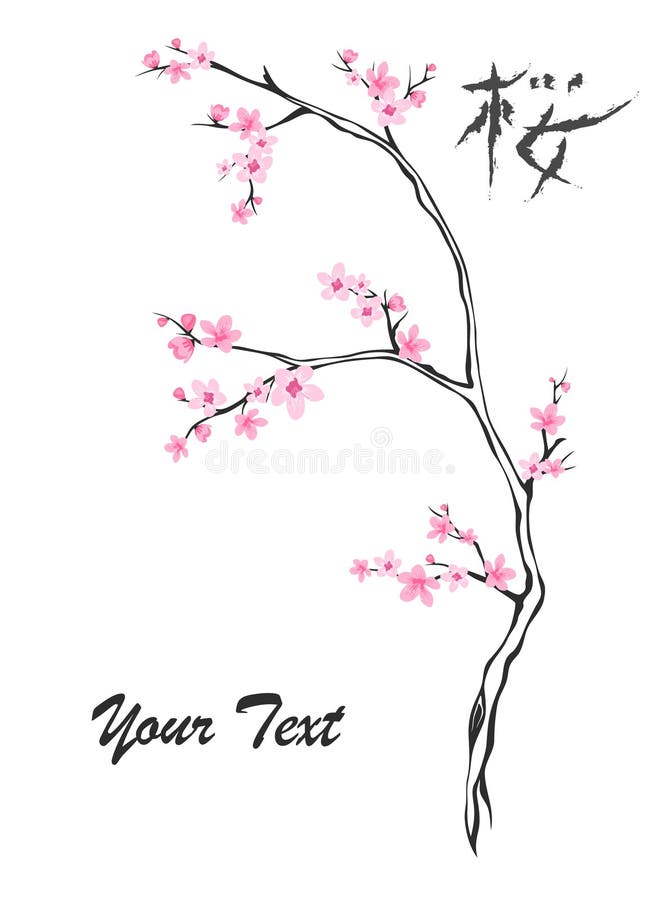 Sakura vector stock vector. Illustration of bloom, decoration - 19529607