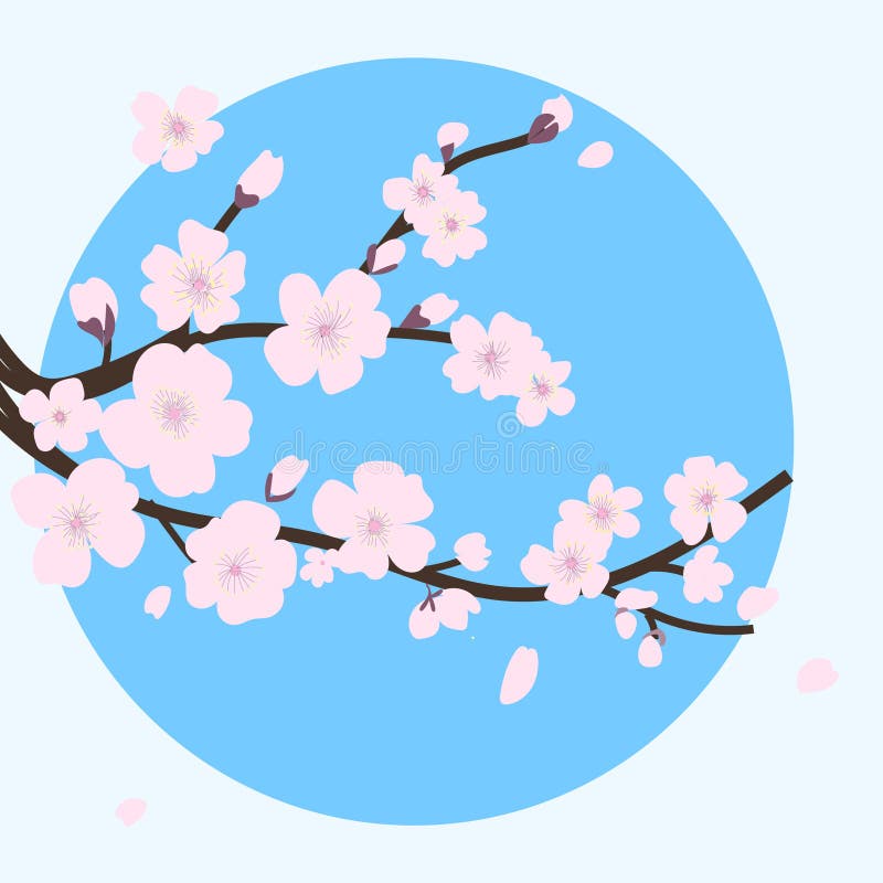 Sakura Vector Flat Design , Japanese Blooming, Bloom Tree Spring Stock ...