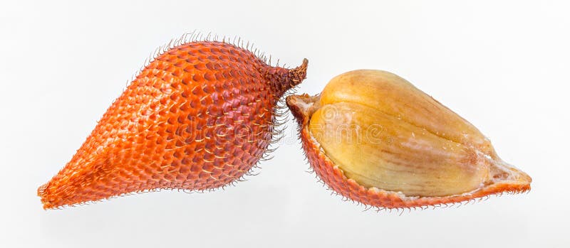 Salacca o zalacca foto de archivo. Imagen de frescura - 30520310