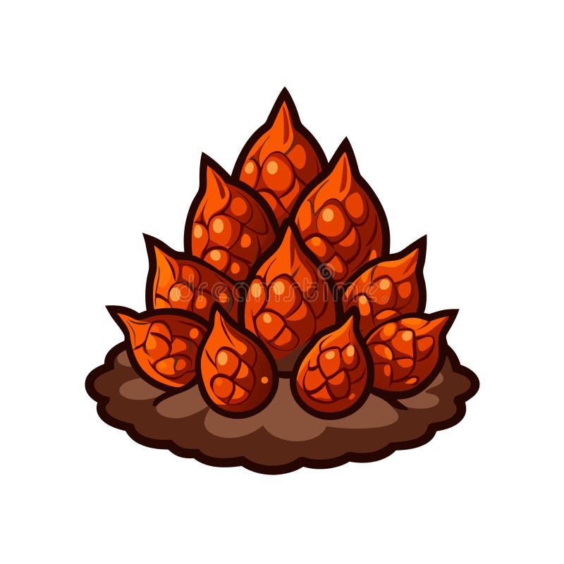 Salacca Salak Snake Fruit Illustration on White Background Stock Photo ...