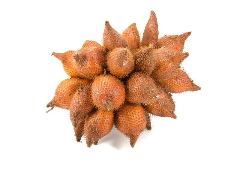 Salacca or zalacca stock image. Image of healthy, diet - 46795191