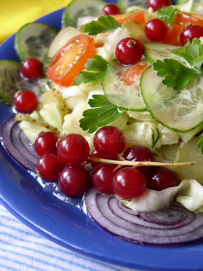 Salad stock image. Image of plate, vegetable, currant - 1230965