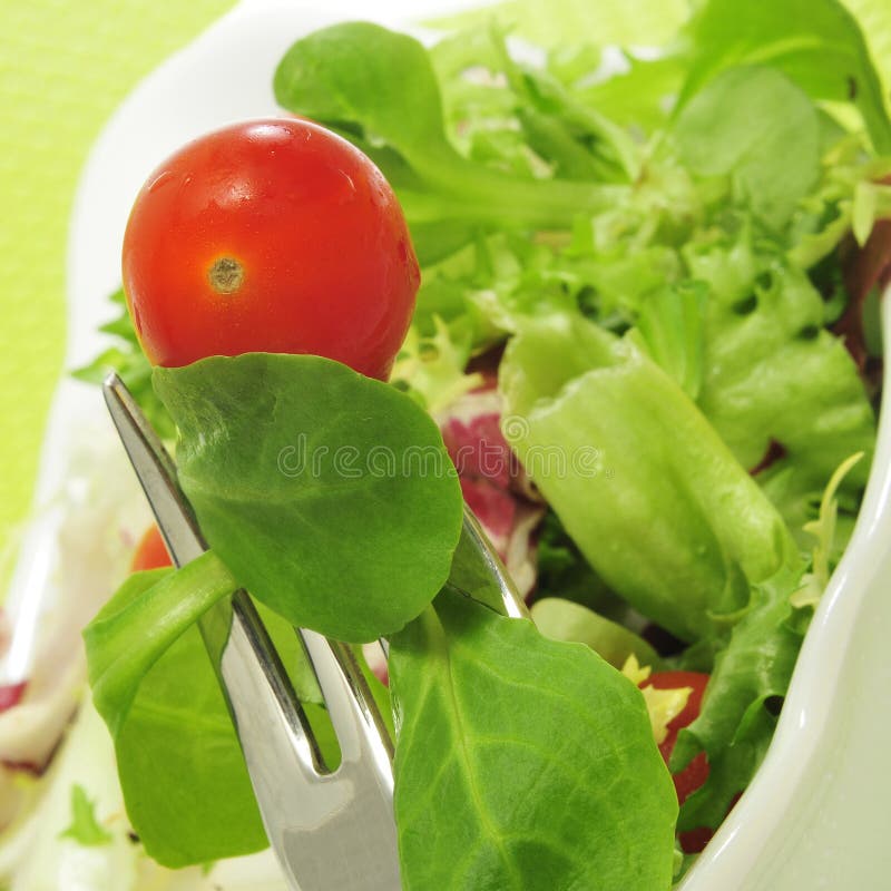 Salad stock photo. Image of culinary, dinner, leaves - 22167512