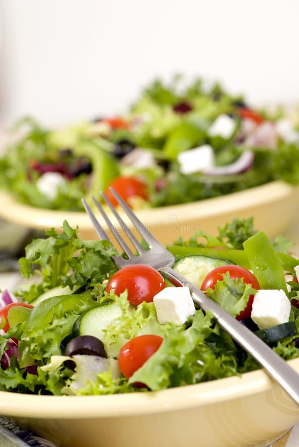 Salad stock photo. Image of appetizer, salad, indoors - 23207196