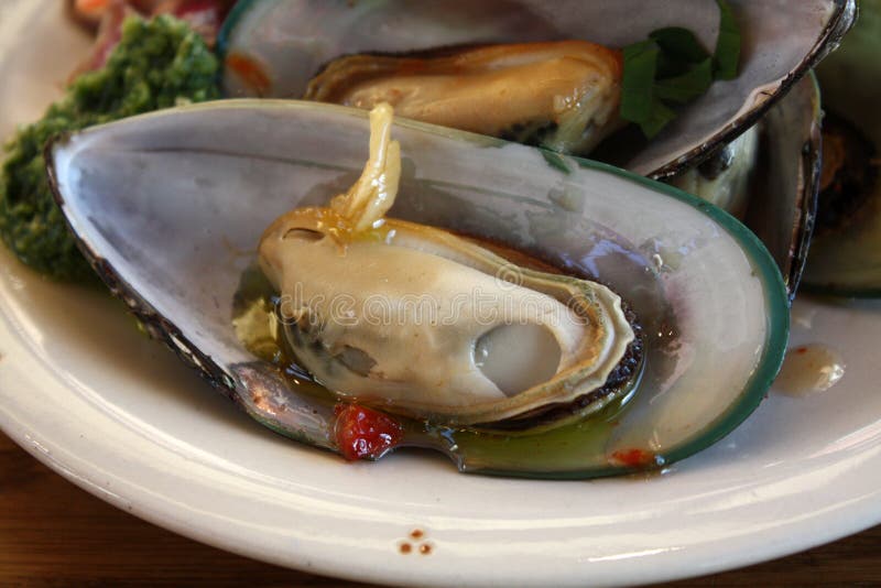 Salad with Big Mussels and Rucola Stock Photo - Image of meal, white ...