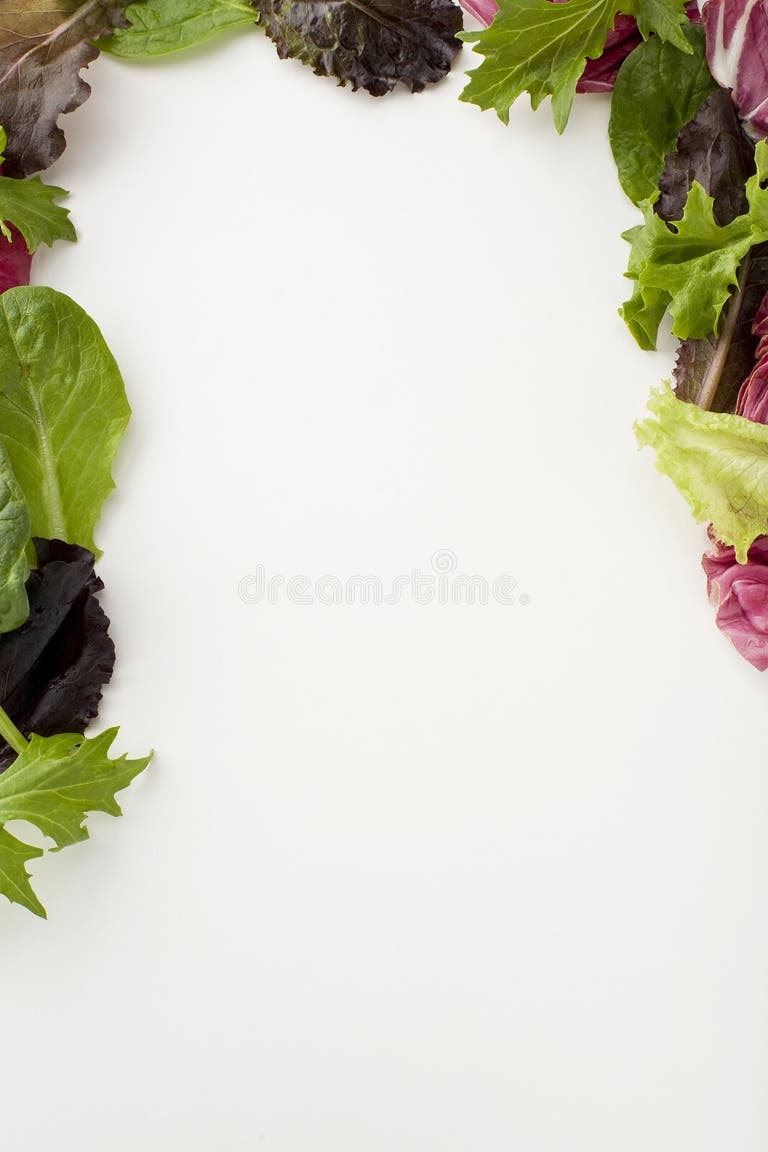 6,355 Salad Border Stock Photos - Free & Royalty-Free Stock Photos from ...