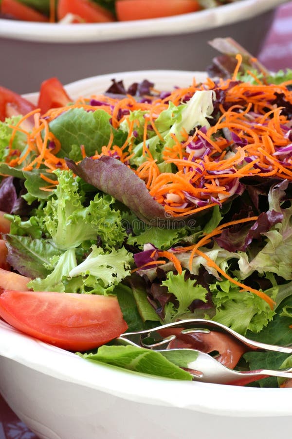 Salad in Bowl with Dressing Stock Photo - Image of color, copyspace ...