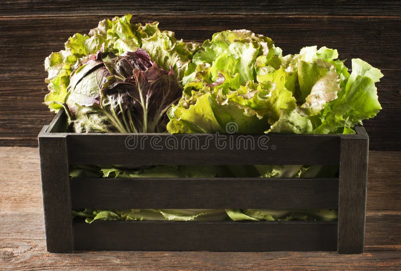 Salad in box stock photo. Image of healthy, storage, wooden - 45082108