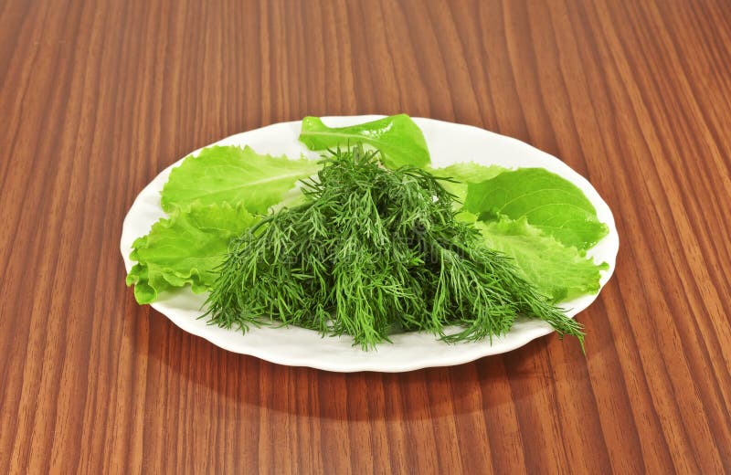 Salad and dill on a plate stock photo. Image of brown - 26223364