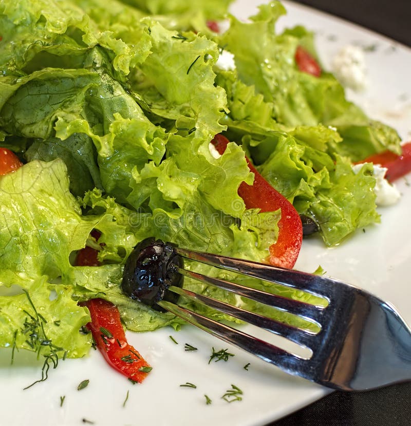 Salad with fork stock photo. Image of dinner, natural - 45480104