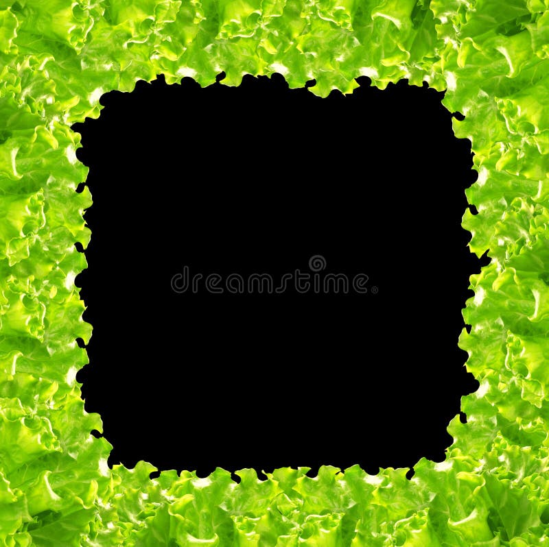 Salad frame stock photo. Image of color, nature, food - 41399440