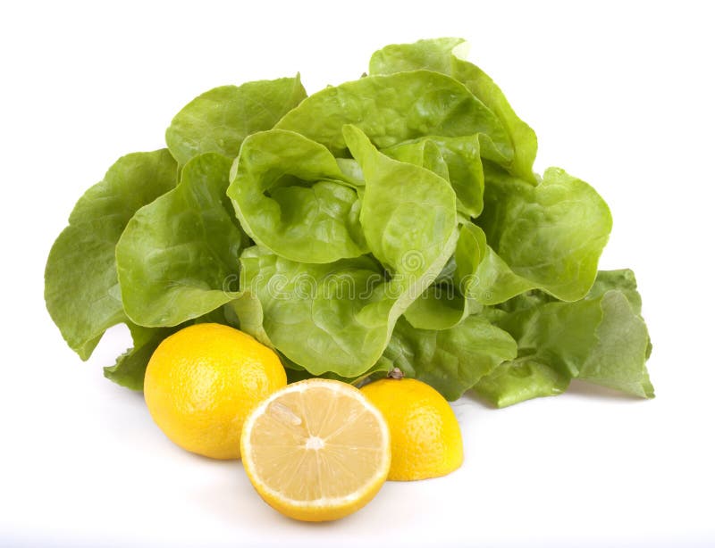 Salad stock photo. Image of fitness, health, closeup - 34538152