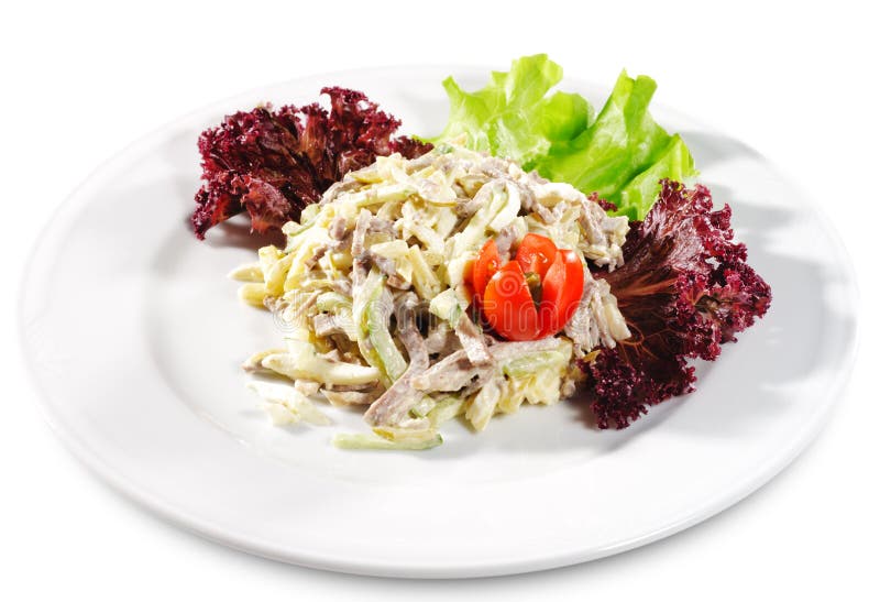 Salad with Meat stock photo. Image of appetizer, hungry - 9669434