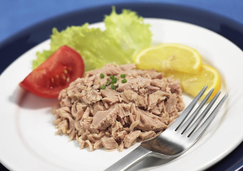 Salad Plate with Tuna Fish, Tomato and Lemon Stock Image - Image of ...