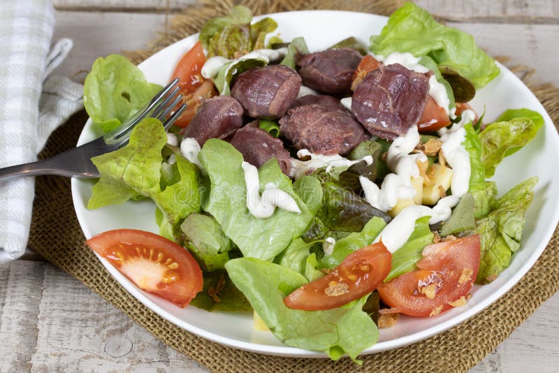 Salad with Poultry Gizzards Stock Image - Image of france, poultry ...