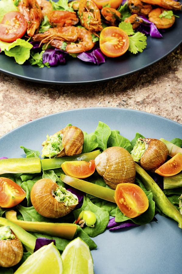 Salad with Vegetables and Snails Stock Photo - Image of france, mollusk ...