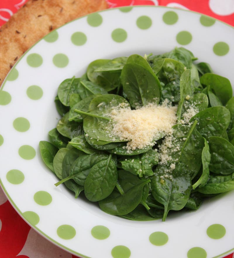 Salad of spinach stock photo. Image of cuisine, buffet - 93543540